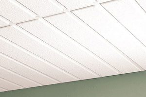Certainteed Acoustical Ceilings | Clare Interiors