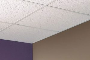 Certainteed Acoustical Ceilings | Clare Interiors