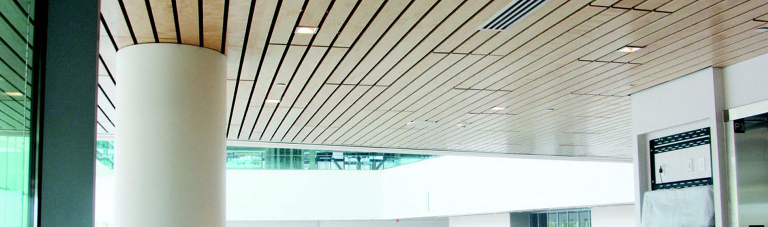 Panelized Linear | Wood Ceilings | Clare Interiors